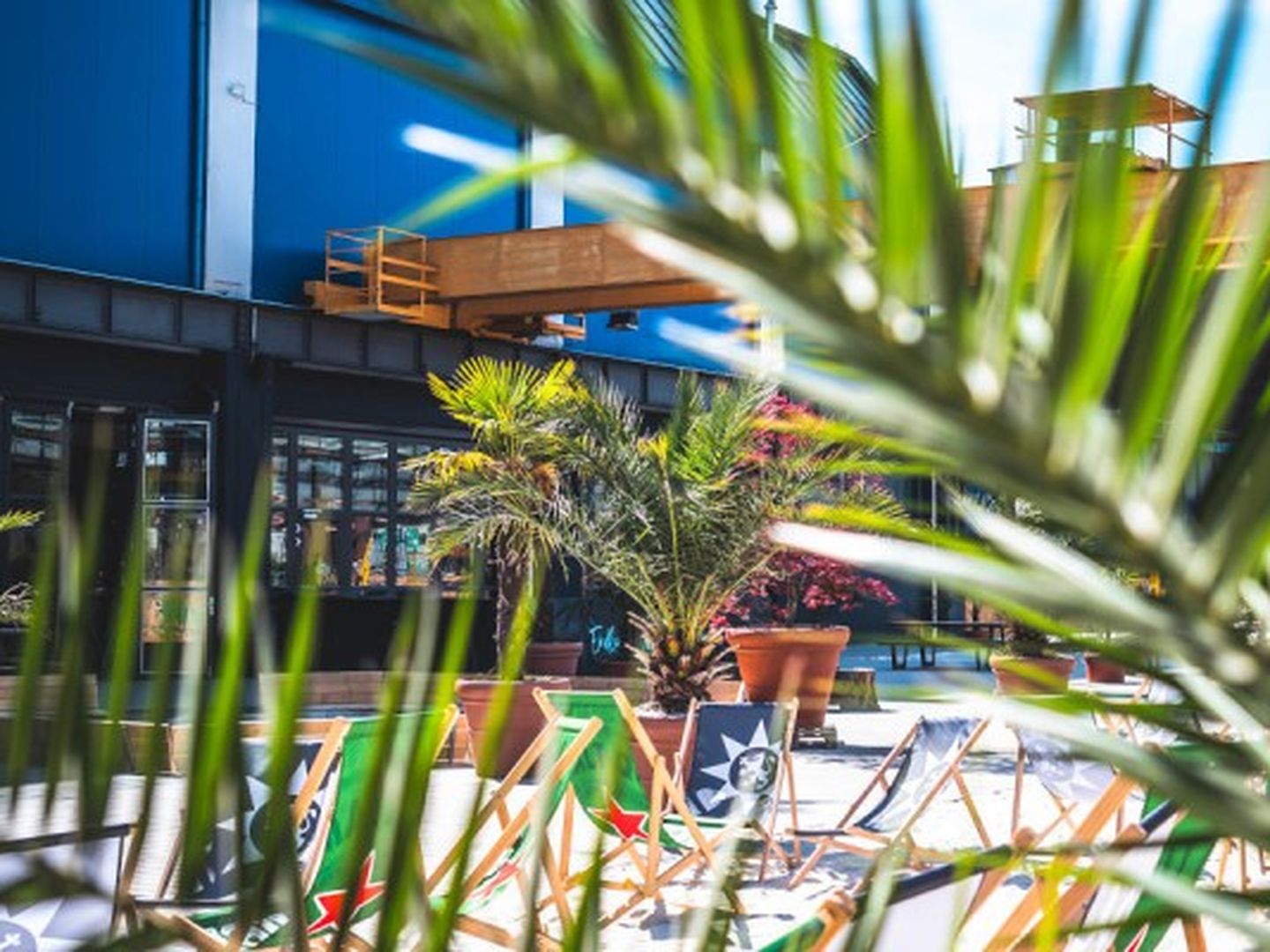 RheinRiff – surfen lernen in Düsseldorf | Stadtwerke Düsseldorf