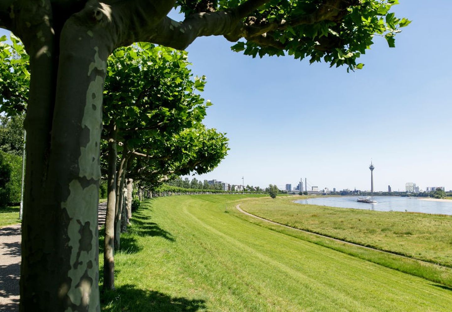 Düsseldorf Heerdt: ein Stadtteilportrait | Stadtwerke Düsseldorf