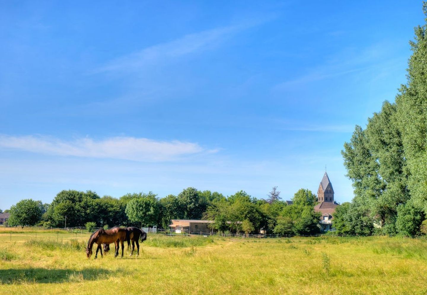 Angermund: Düsseldorfer Stadteilportrait | Stadtwerke Düsseldorf