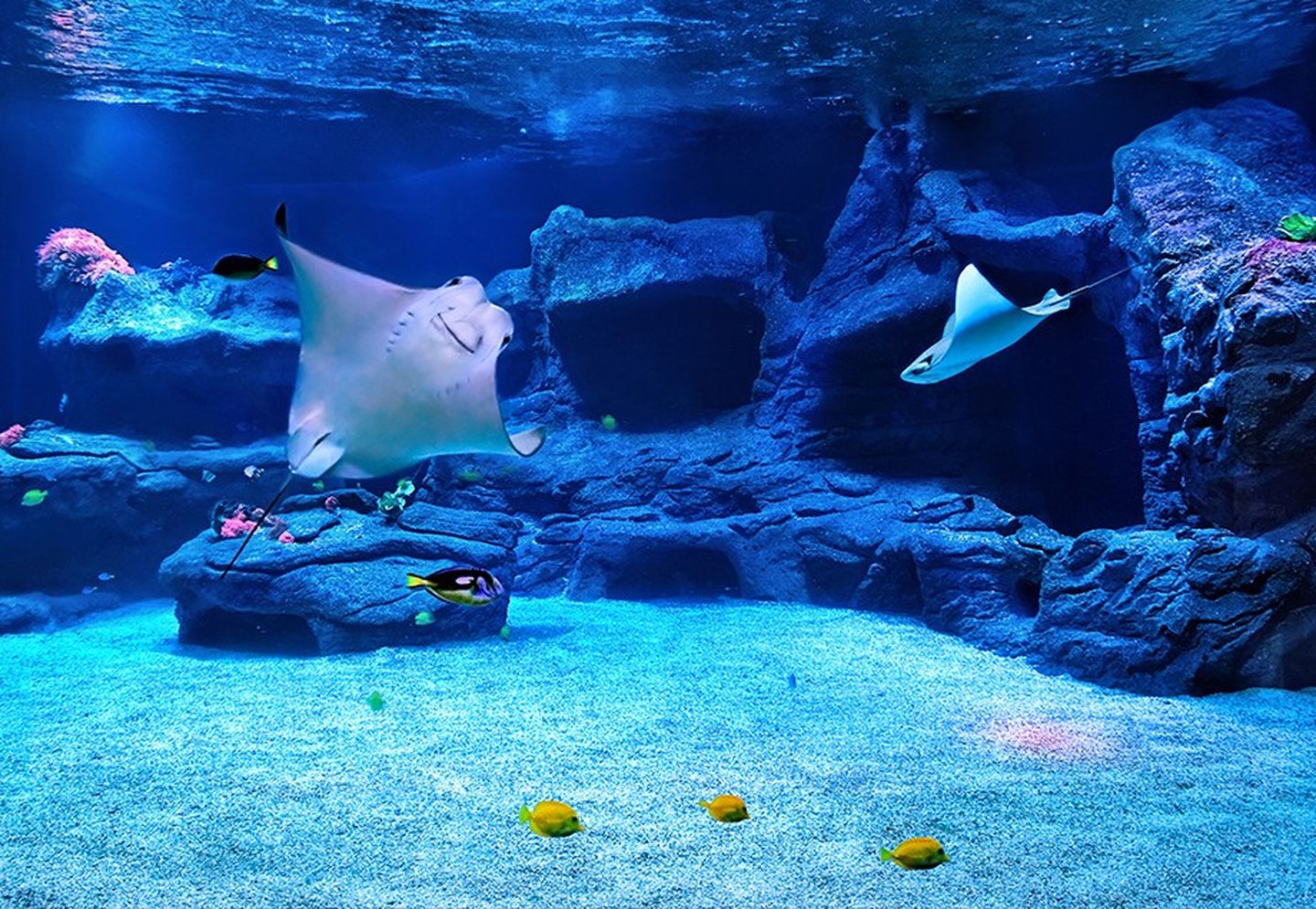 Aquazoo Löbbeke Museum | Stadtwerke Düsseldorf
